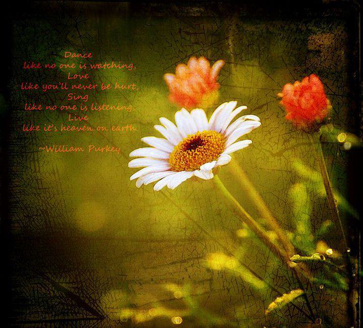 Everyday HOPE and Quotes : Regardless of whatever you are going through,